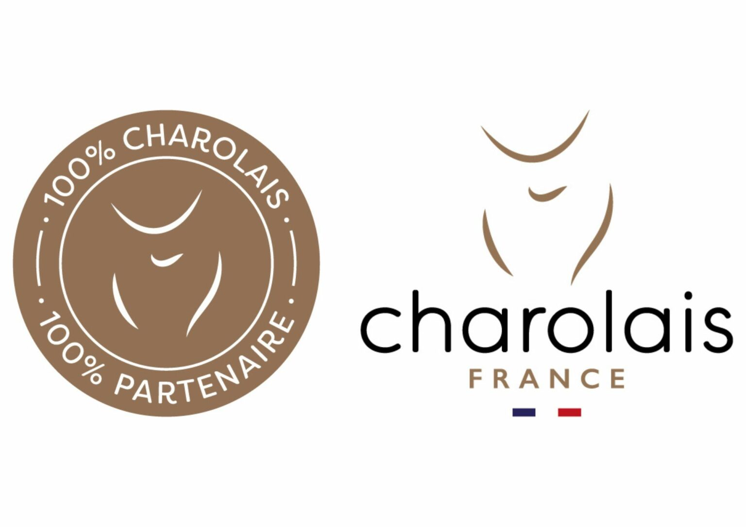 Des Noms En « A Pour 2025 La Charolaise